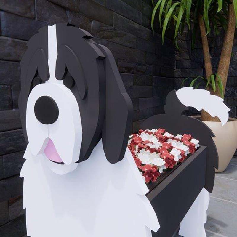 Newfoundland Planter AP035 - FreedPick